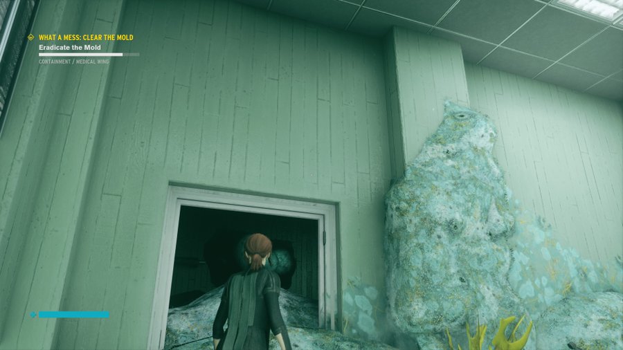 CONTROL – WHAT A MESS: EVEN MORE MOLD..MOLD LOCATIONS – BlkHert Game Views